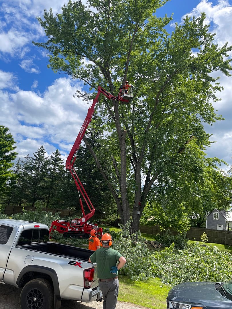 Higher Ground Tree Removal Home - Higher Ground Tree Removal